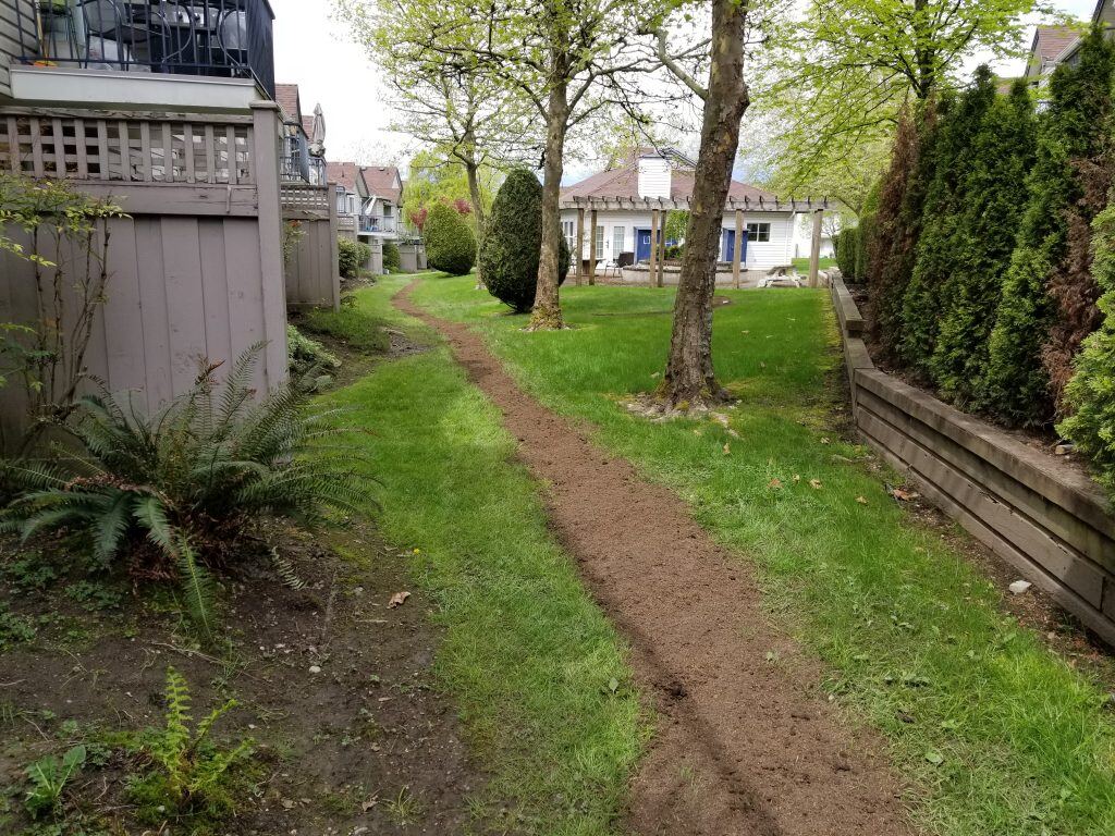 The Ultimate Guide To French Drains