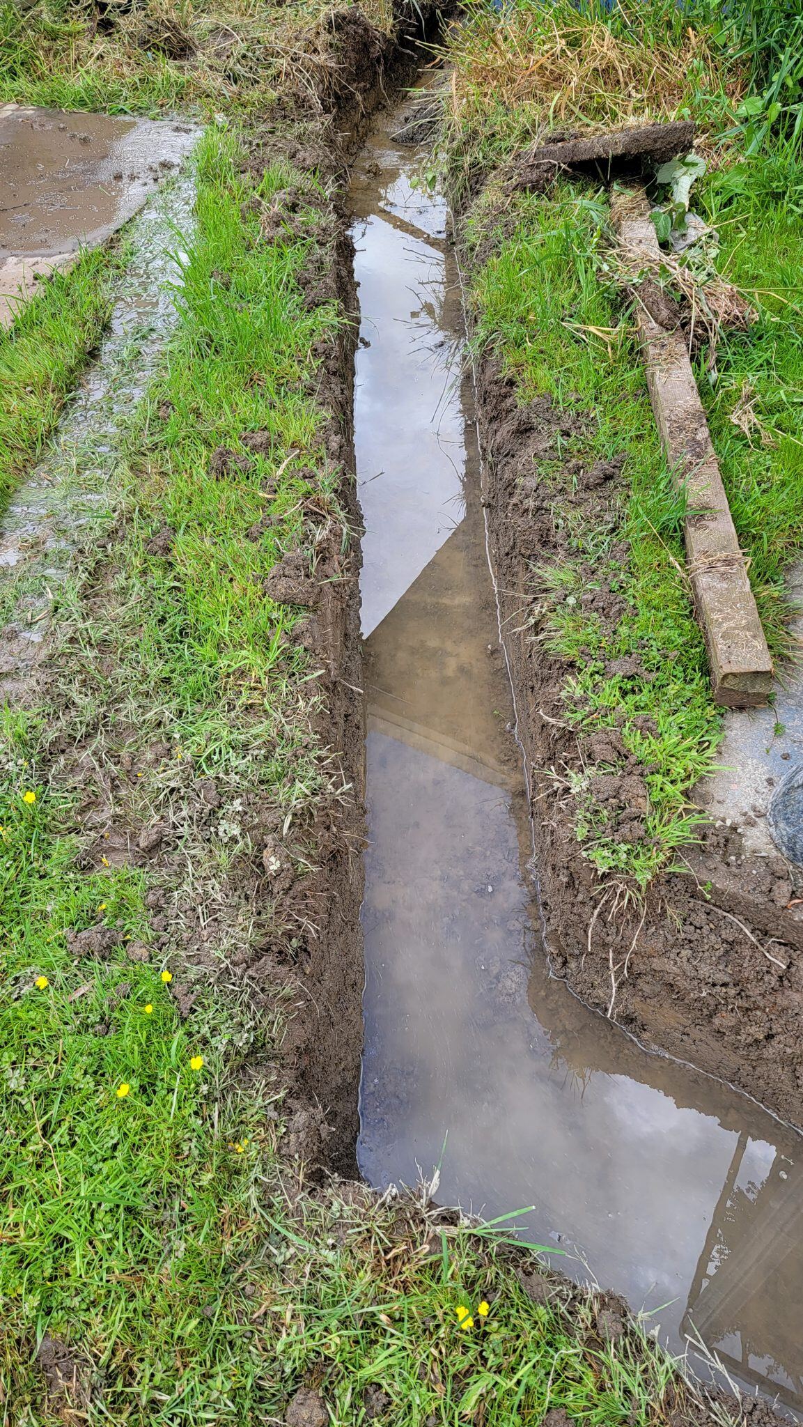 Backfilling A French Drain Trench