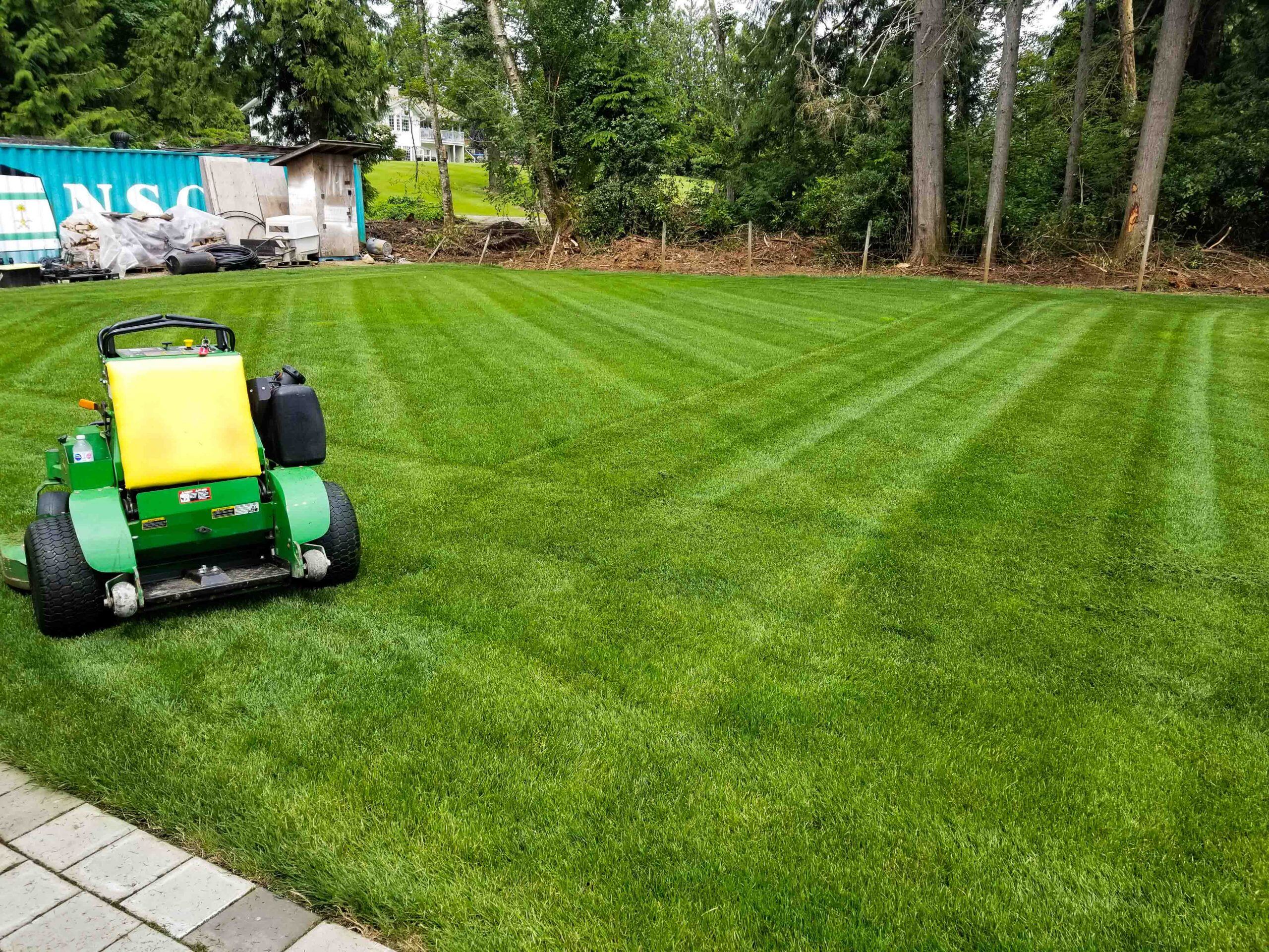 How To Have A Great Lawn Without Breaking A Sweat
